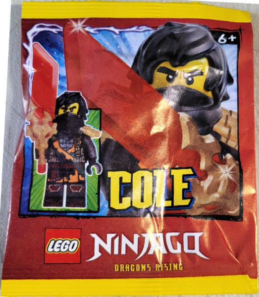Lego Ninjago Foil / Paper Pack #892512 Cole paper bag #3 – deezbricks